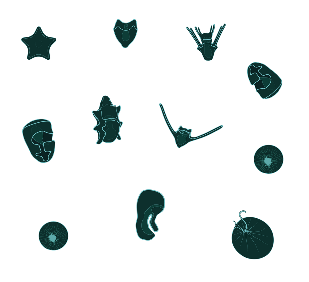 Gravity Machine | Gravity Machine