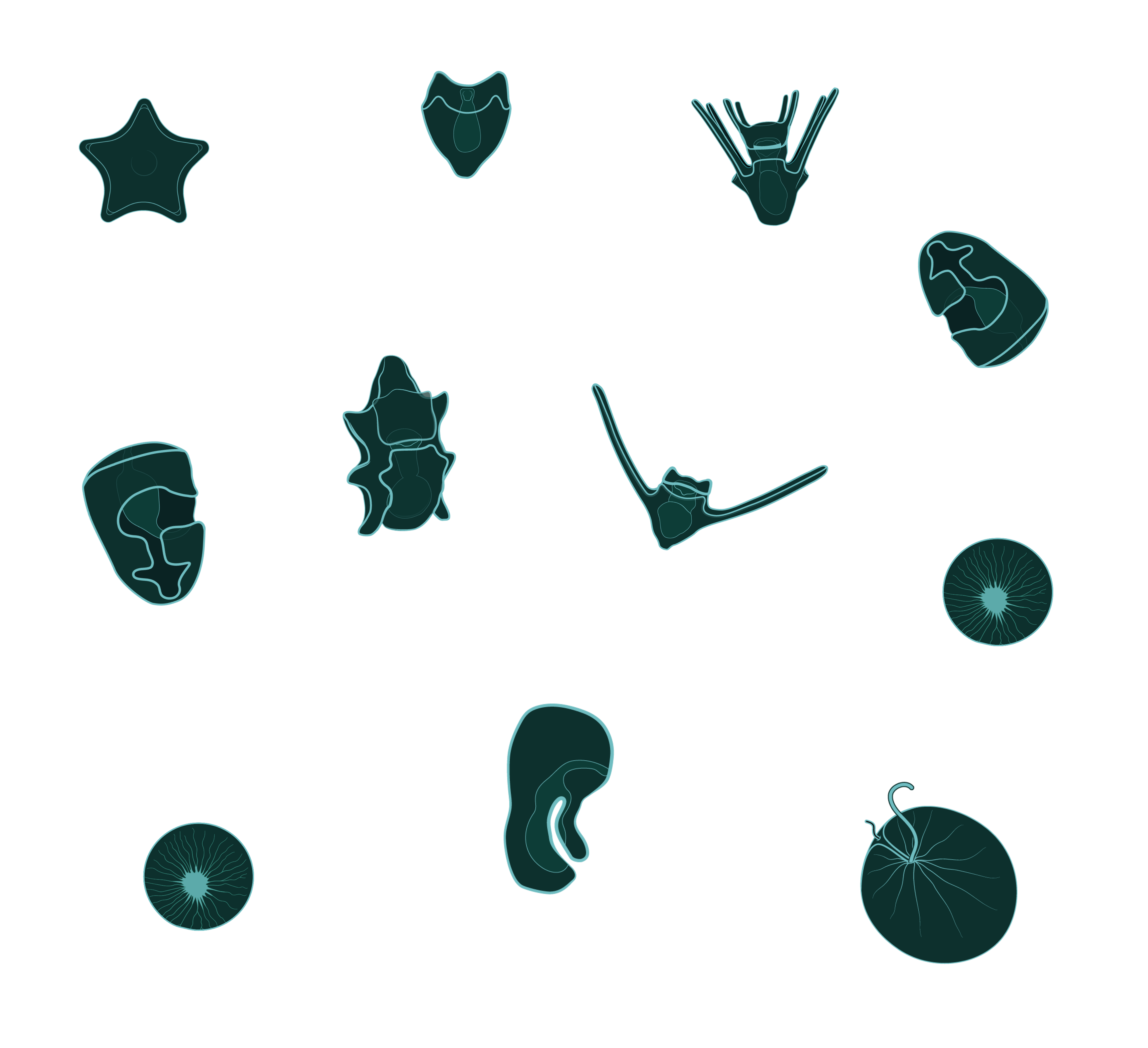 Gravity Machine | Gravity Machine